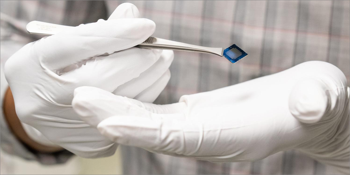 La Universidad de Penn State desarrolla una neurona artificial ...