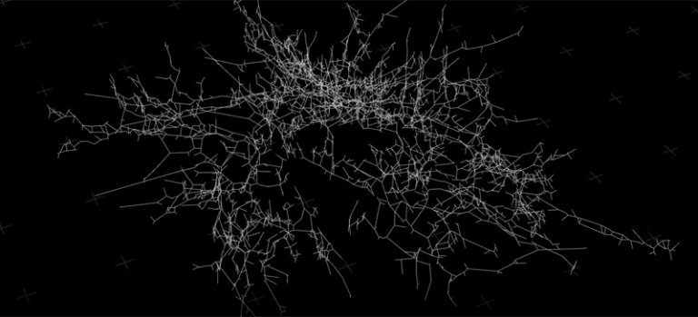 El proyecto Fungar investiga el potencial de los hongos vivos para su ...