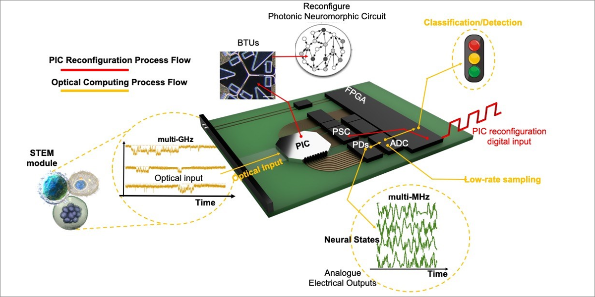 El procesador fotónico del proyecto NEoteRIC ofrece un alto rendimiento y un menor consumo en el ...