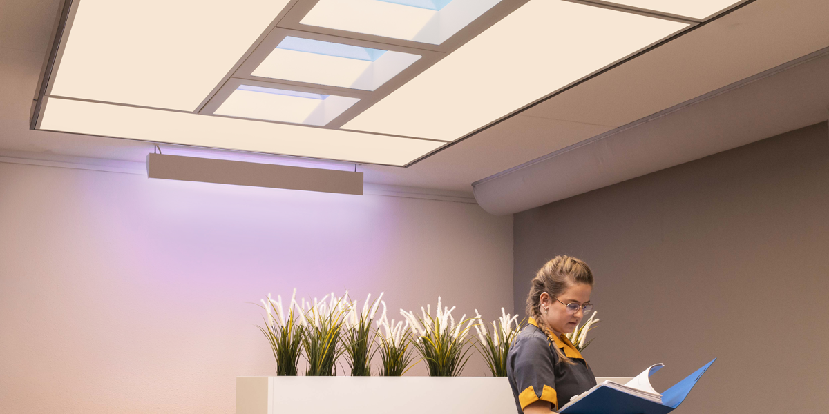 La solución de iluminación natural NatureConnect de Signify puede ...